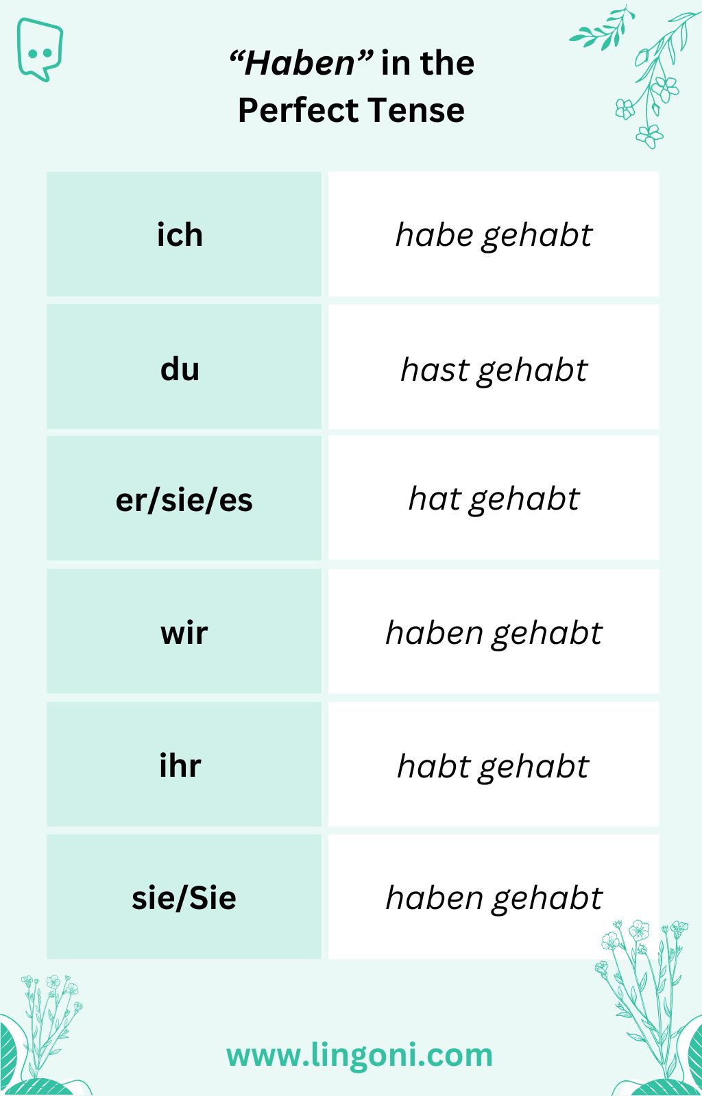 Mastering The German Verb “Haben” – lingoni